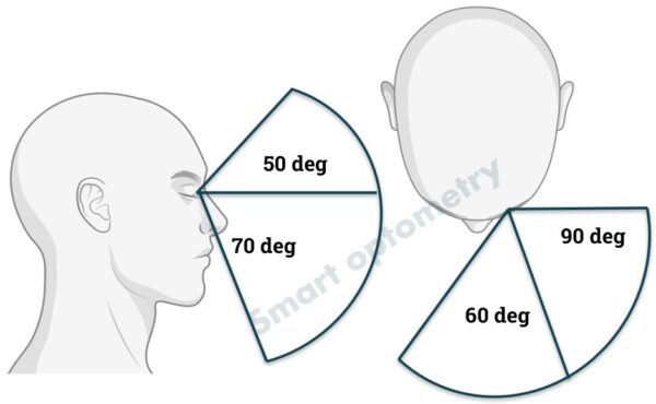 Perimetry or Visual Field Analysis- An Overview. - Smart Optometry